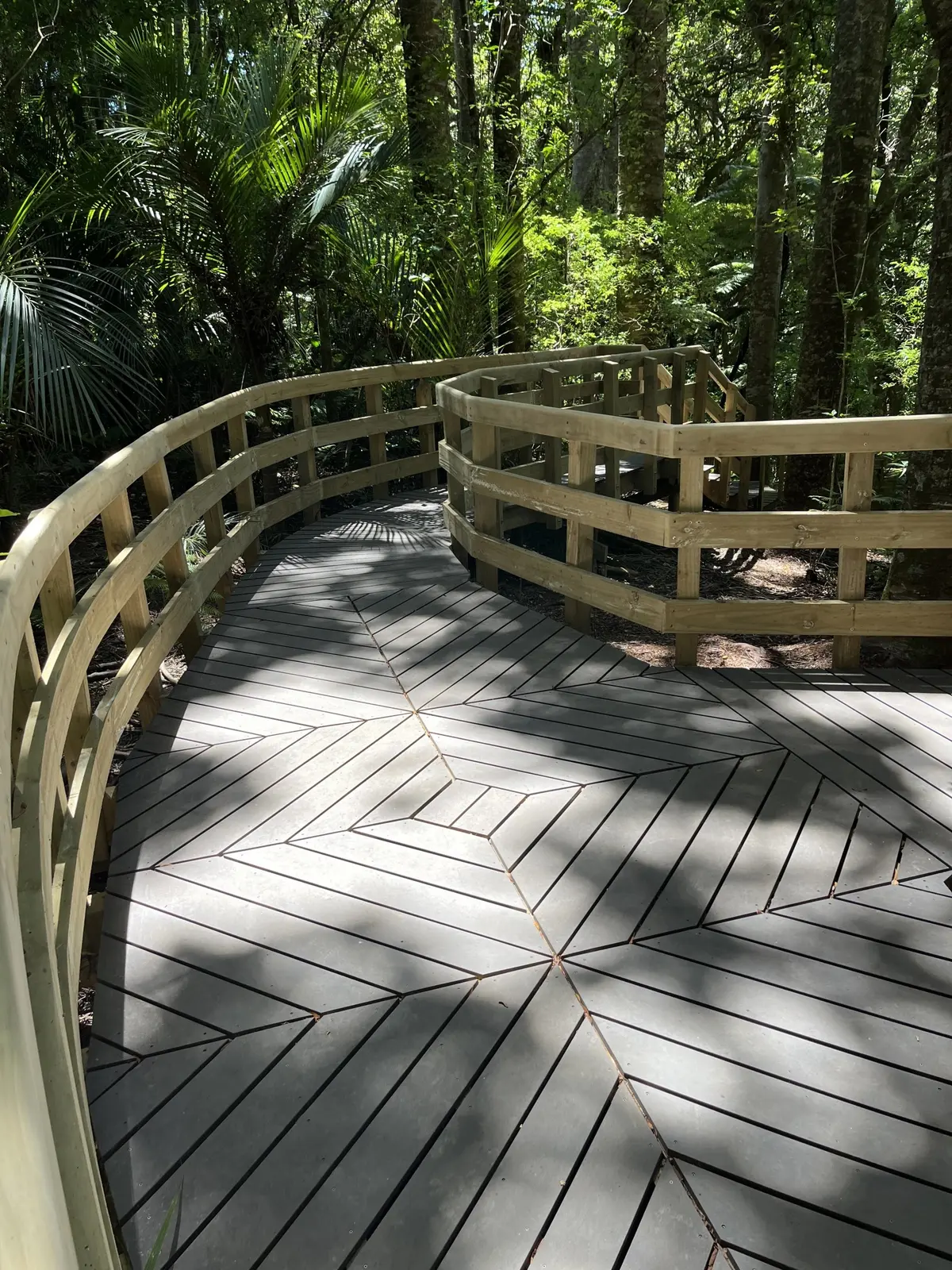 BiForm Decking New Zealand: Parry Kauri Park